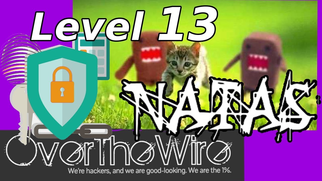 Python Web Hacking: PHP Remote Code Execution File Upload | Natas: OverTheWire (Level 13)