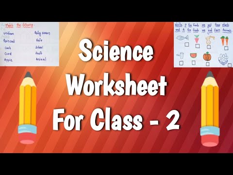 Science Worksheet for Class -2 | Grade-2 Science worksheet #science #class2 #worksheet