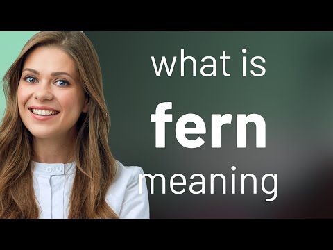 Fern • meaning of FERN