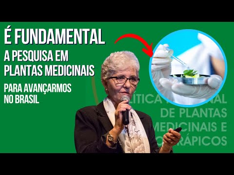 Pesquisa em Plantas Medicinais para avançarmos no Brasil