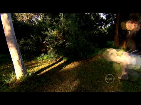 Urban Ecology - SCOPE