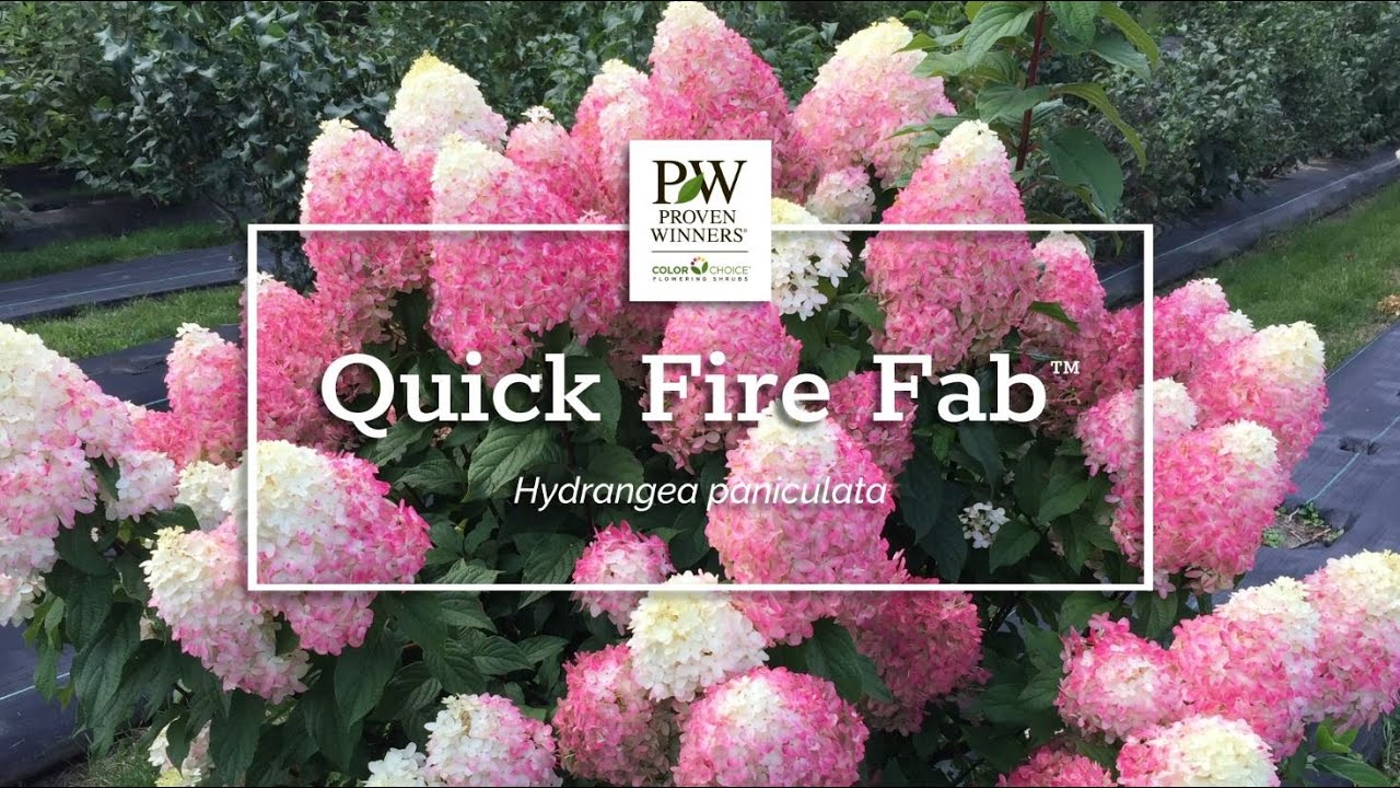 Introducing Quick Fire Fab™