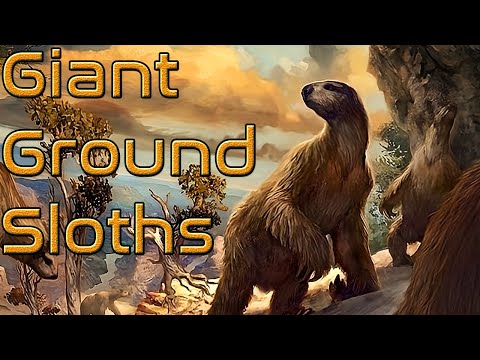 The History of Ground Sloths