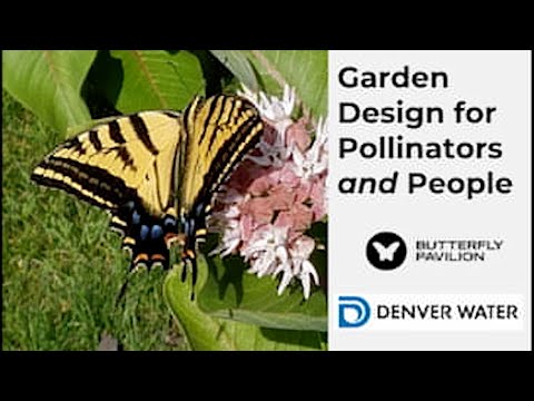 Garden design for pollinators and people at Denver Water