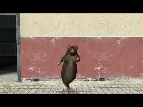 Steam Community :: Video :: gmod rat dance