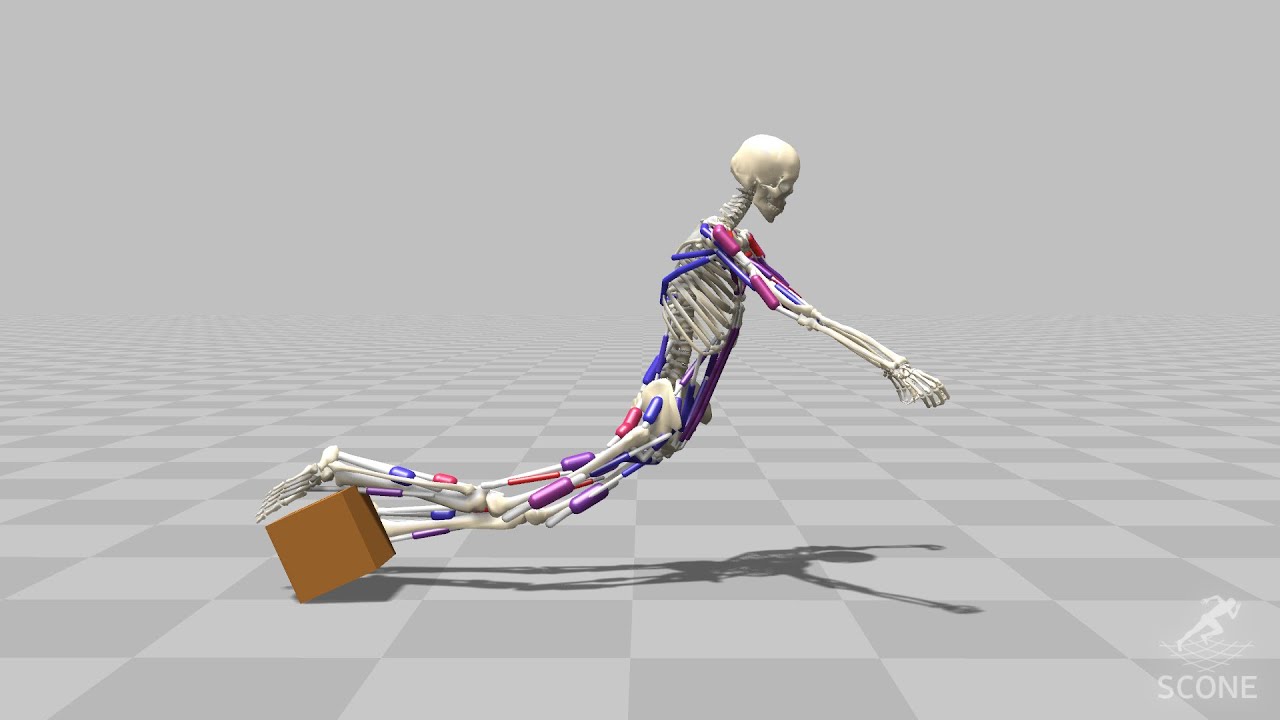 Tripping and Slipping Simulations