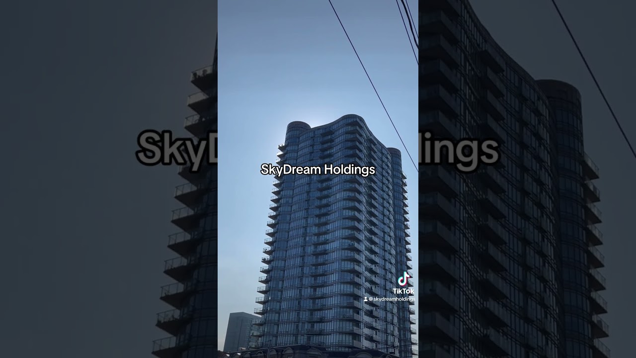 #skydreamholdings