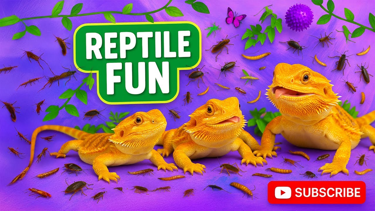 TV for Pets  | Bearded Dragons Watch Crawling Bugs | Cat TV