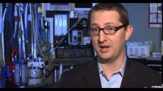 3 Best Plastic Surgeon in Colorado Springs, CO - Expert Recommendations