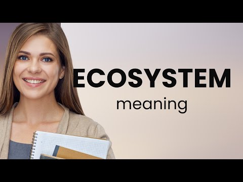 Unraveling the "Ecosystem": A Guide to Interconnectedness