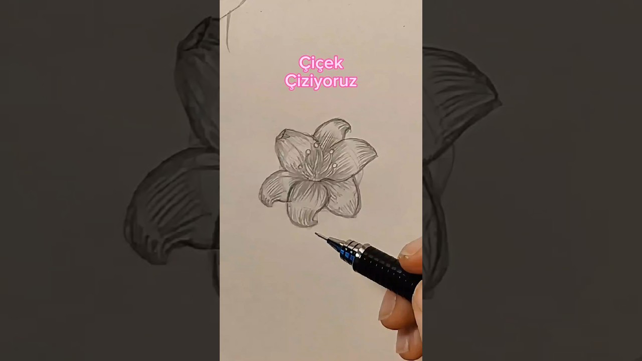 Nasıl En Kolay Şekilde Gerçekçi Çiçek Çizilir? Beraber En İyi Çiçeği Çiziyoruz 🌸