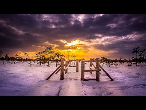 Amazing Snowed National Swamp Moor 4K UHD Timelapse Photography Video- National Park In Latvia