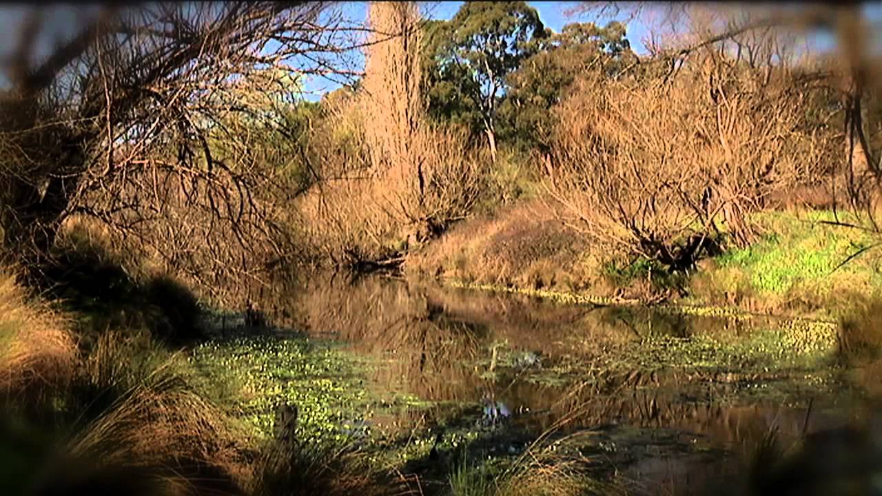 BtN Minute, Episode #25