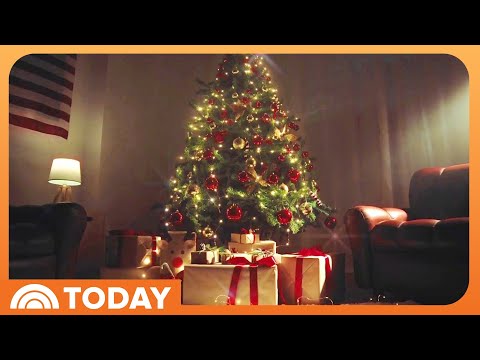 Real Versus Fake Christmas Trees - Mix 103.1