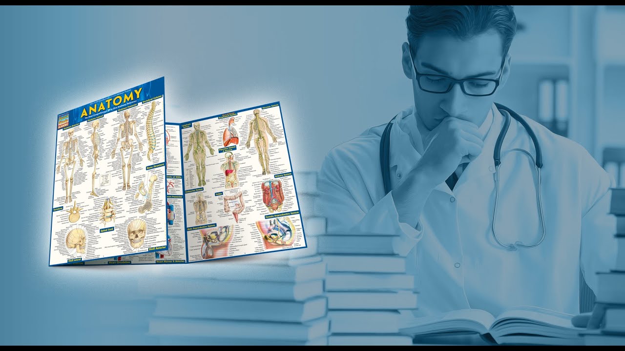 QuickStudy® Anatomy Laminated Study Guide