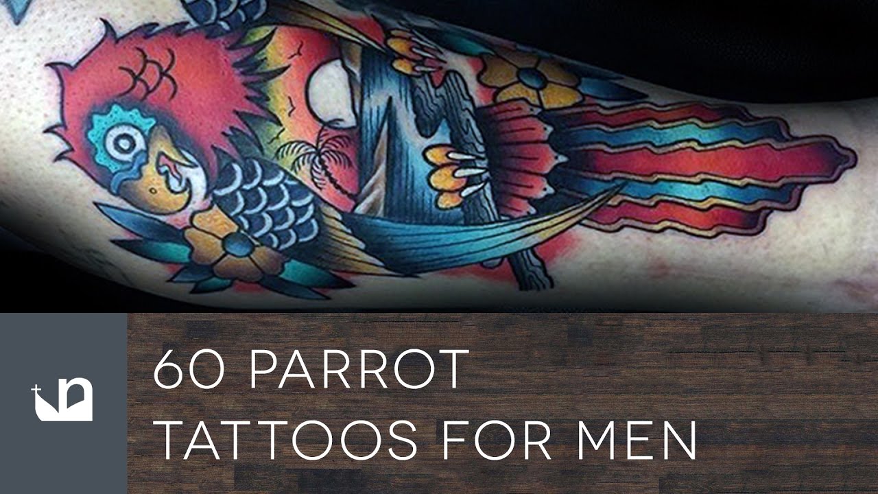 60 Parrot Tattoos For Men