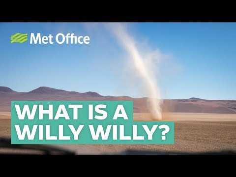What is a willy willy and how do they form?
