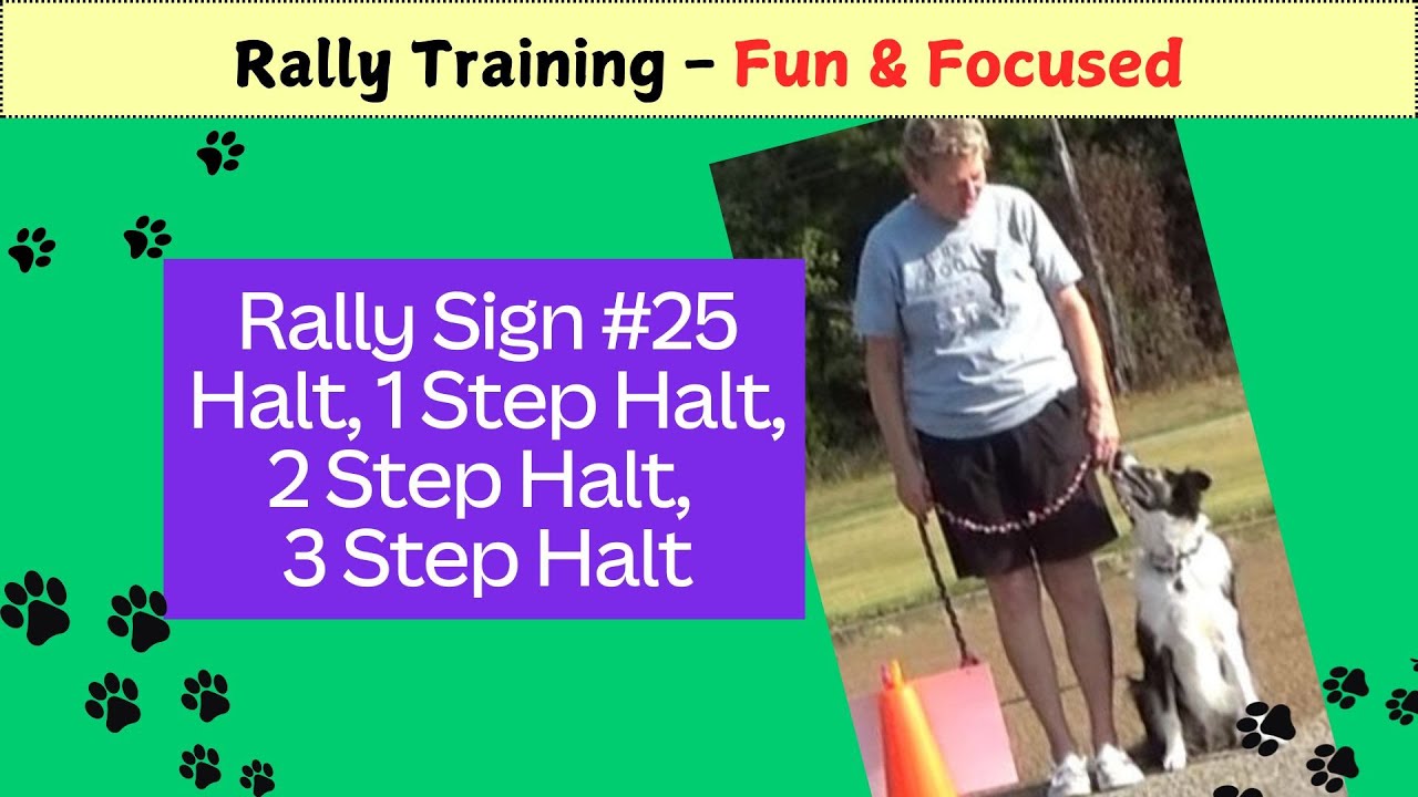 Rally Sign #25 Halt 1 Step Halt, 2 Step Halt, 3 Step Halt – Dog ...
