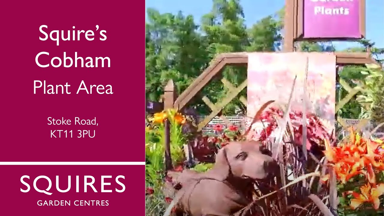 Squire’s of Cobham