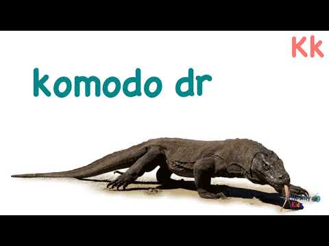 Words Starting With K - Learn Words that Start with K Sound with spellings || Preschool Learning ||