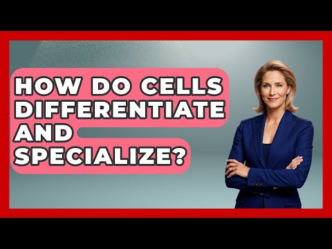 How Do Cells Differentiate and Specialize? - Biology For Everyone