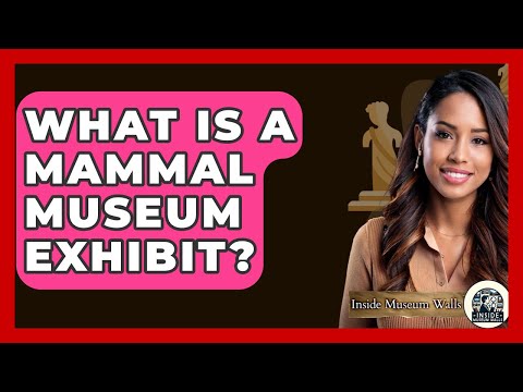 What Is A Mammal Museum Exhibit? - Inside Museum Walls