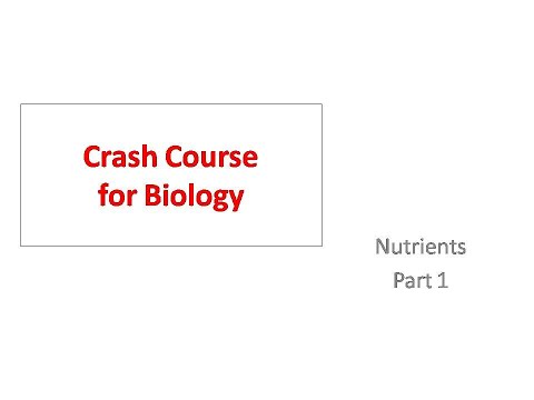 [Crash Course] O and N level Biology (04A Nutrients: Part 1)