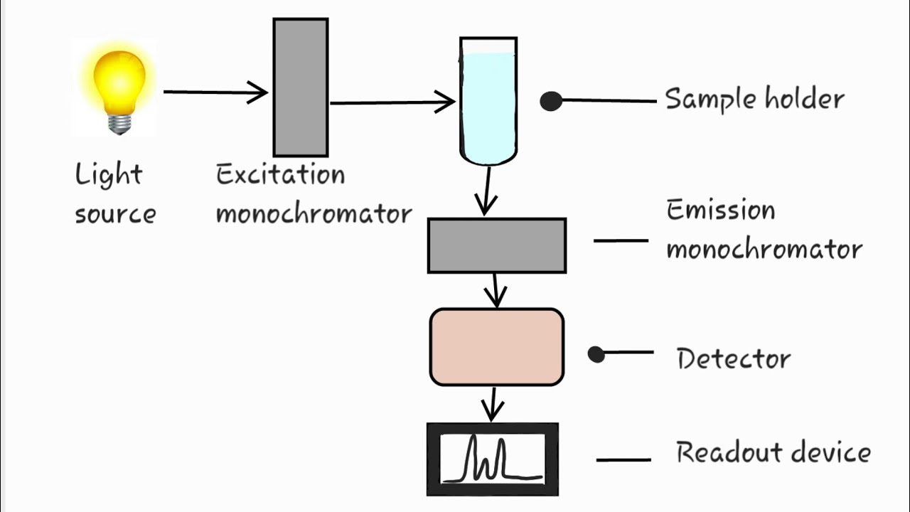 Fluroscence spectroscopy / flurometry /spectroflurometry