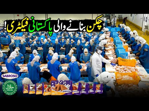 Amazing Halal Modern Chicken Meat Processing In Pakistani Factory | Made In Pakistan