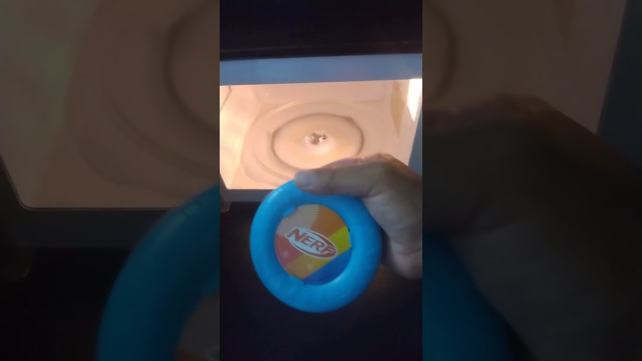 NERF FRISBEE IN THE MICROWAVE