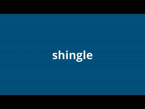 what is the meaning of shingle