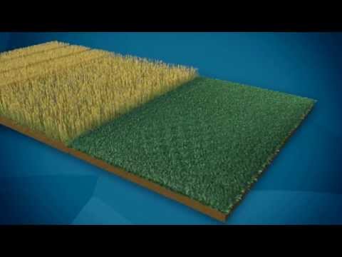 Global Change Experimental Facility (GCEF)