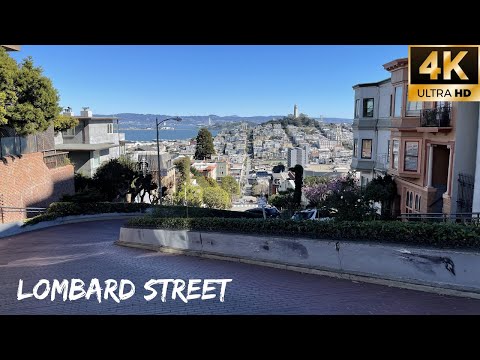 Scenic Shorts: Lombard Street | San Francisco Walk Of Famous Winding Road. February 2022 [4K]