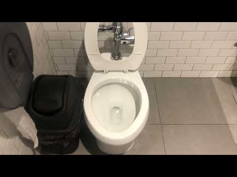 32. Helvex Tzf Nao Toilet at Carl's Jr.