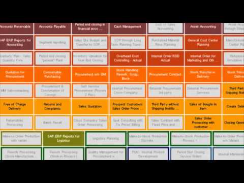 SAP Business All-in-One - Software that Works the Way You Do