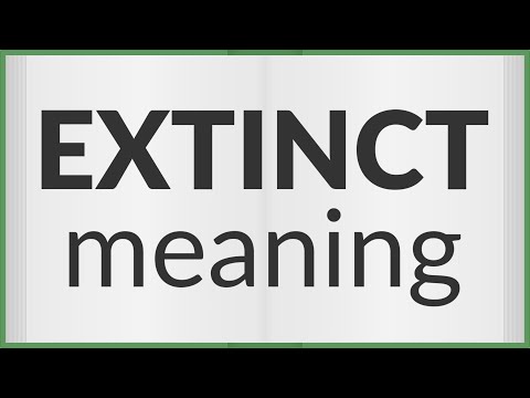 Extinct | meaning of Extinct