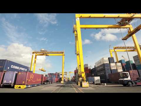 What We Do - Stevedoring Operation