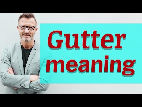 Gutter | Meaning of gutter