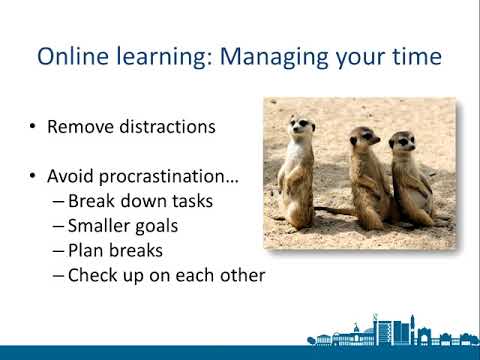 Online Learning Strategies