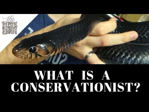 What Is A Reptile Conservationist? | Rant Vlog