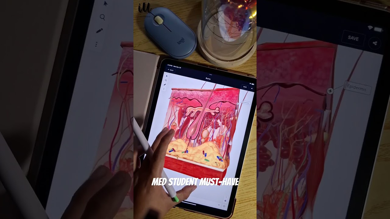 3D Human Anatomy iPad App: Medical, Biology, Science Students Must-Have