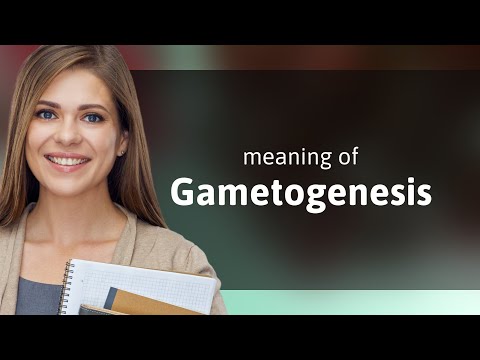 Gametogenesis — what is GAMETOGENESIS definition