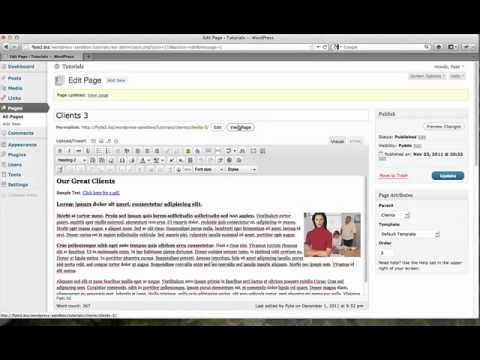How to insert a pdf link in a Wordpress page.