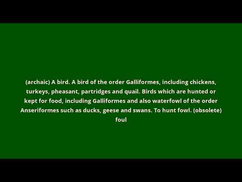 what is the meaning of fowl