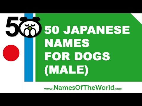 50 japanese names for male dogs - best dog names - www.namesoftheworld.net