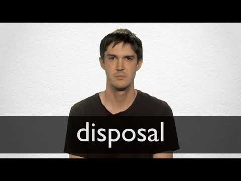 How to pronounce DISPOSAL in British English