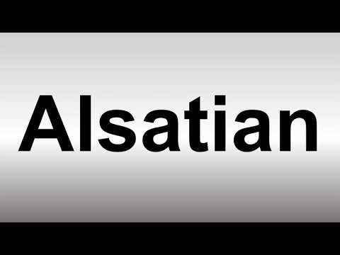 How to Pronounce Alsatian