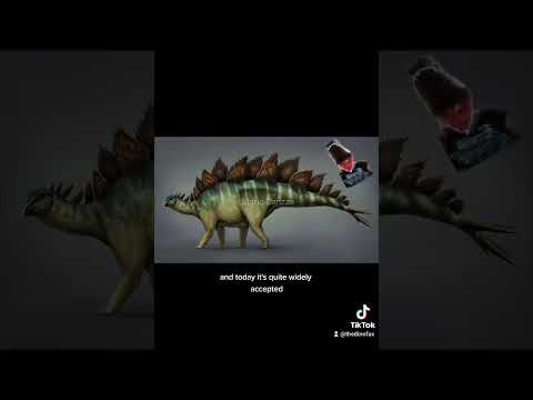 The Origin of the Thagomizer!