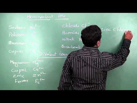 Ion and Monovalent ions