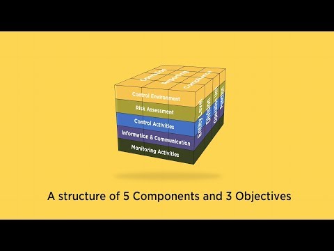 COSO | Explainer Video By Creative Triplet